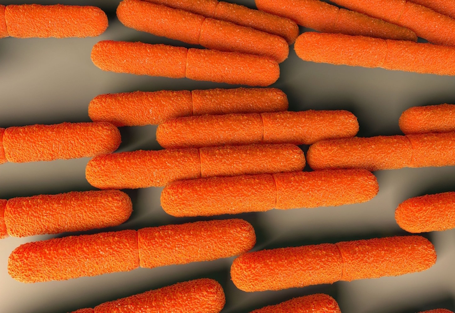 Tor Drugs Asap Darknet Market